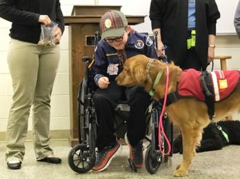 Service Dog Trainer Program | School for Dog Trainers
