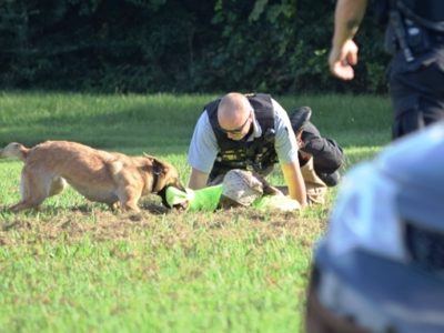 Police K9 Trainer Program | School for Dog Trainers