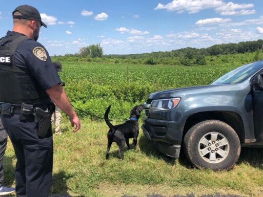 How To Become A Police K9 Trainer | School for Dog Trainers