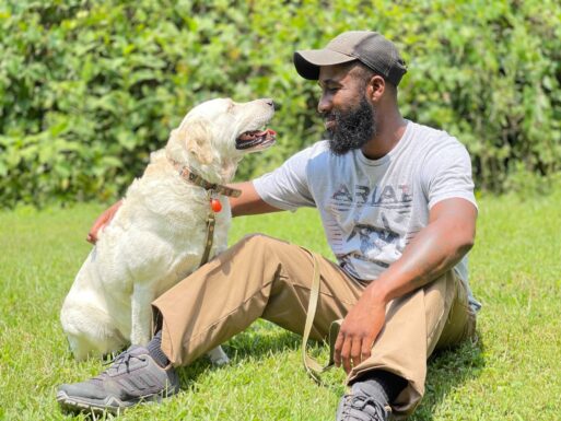 School for Dog Trainers: Become a Professional Dog Trainer