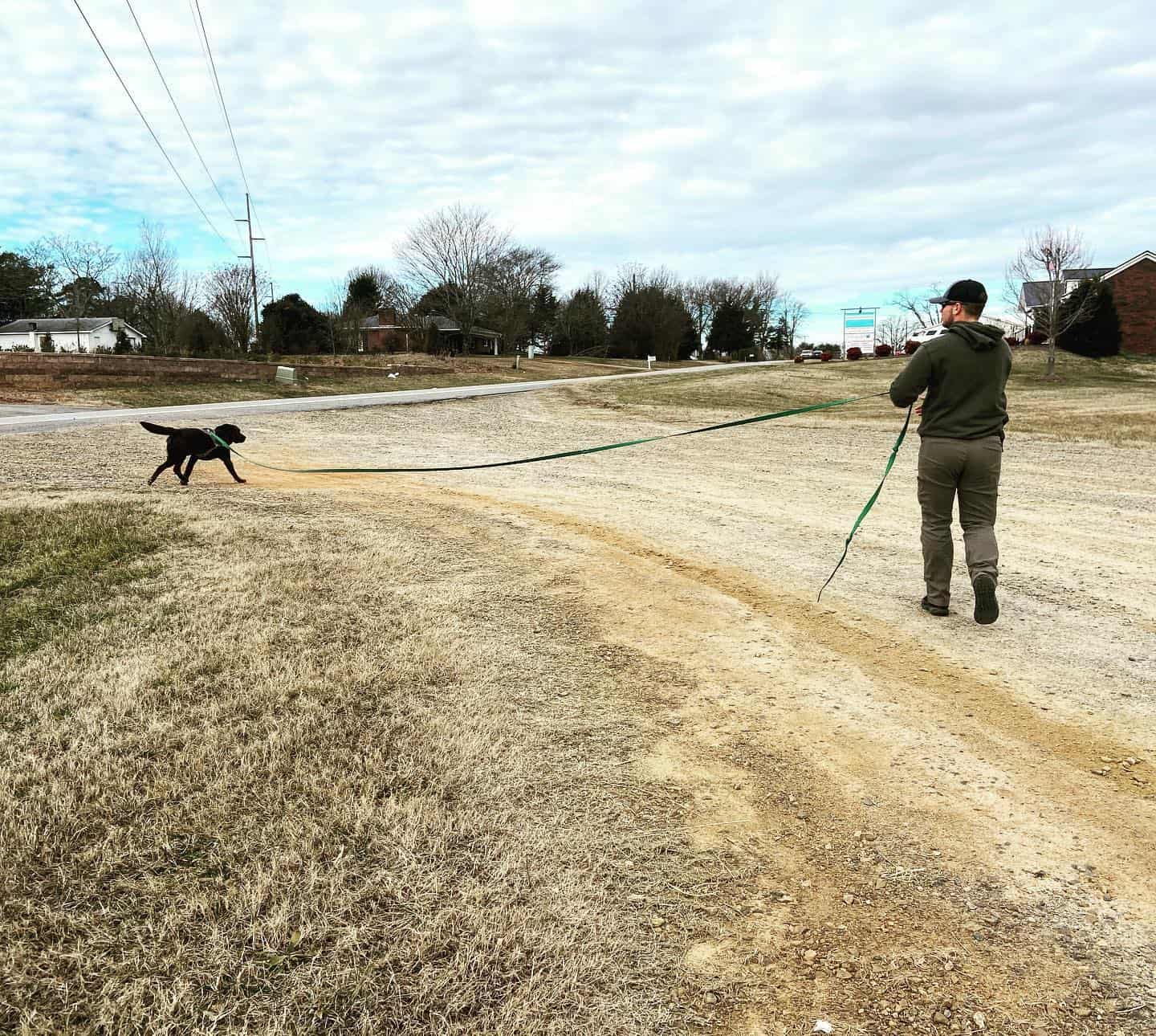 Which Program At The School For Dog Trainers Is Right For You? | School ...