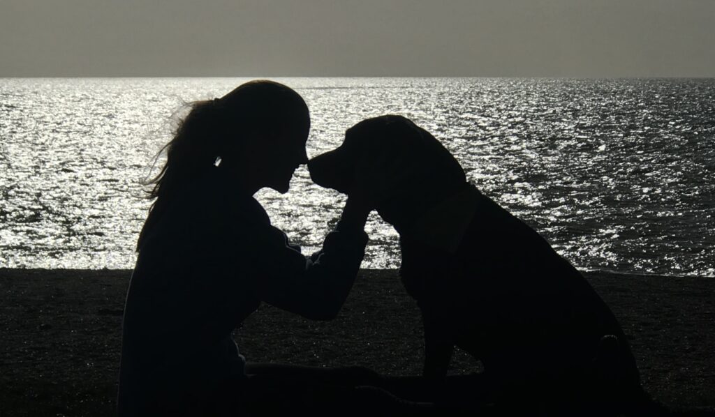 Meet Our 2022 International Scholarship Award Recipient: Mallie Welch ...