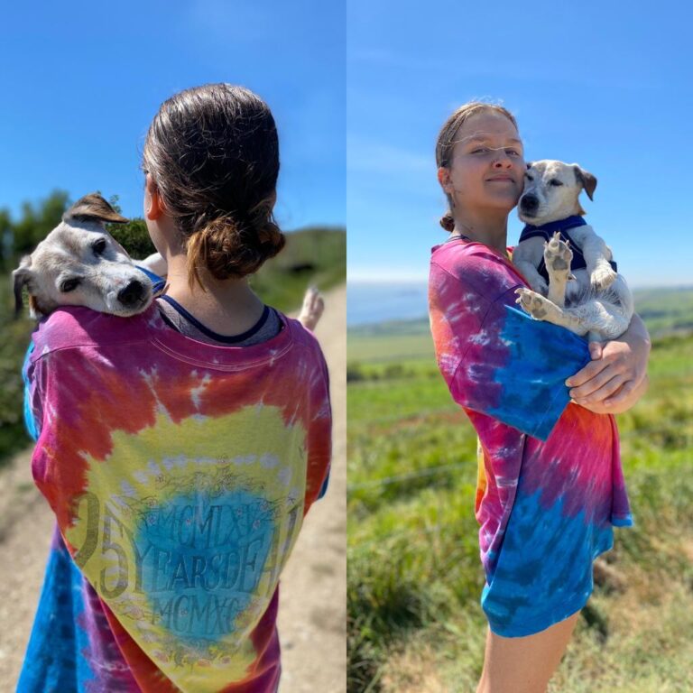 International Dog Trainer Scholarship | School for Dog Trainers