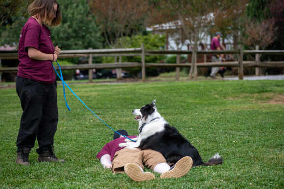 How To Become A Service Dog Trainer | School for Dog Trainers
