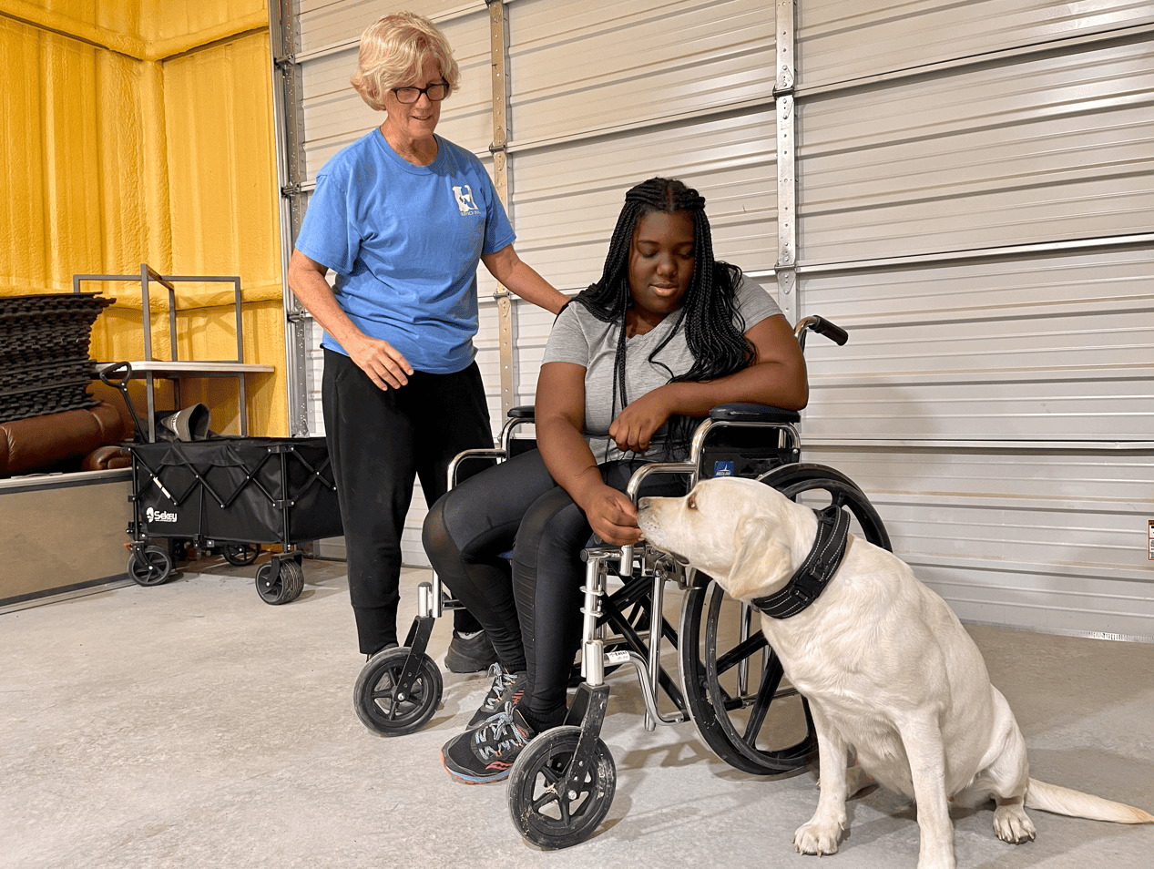Service Dog Trainer School | School for Dog Trainers