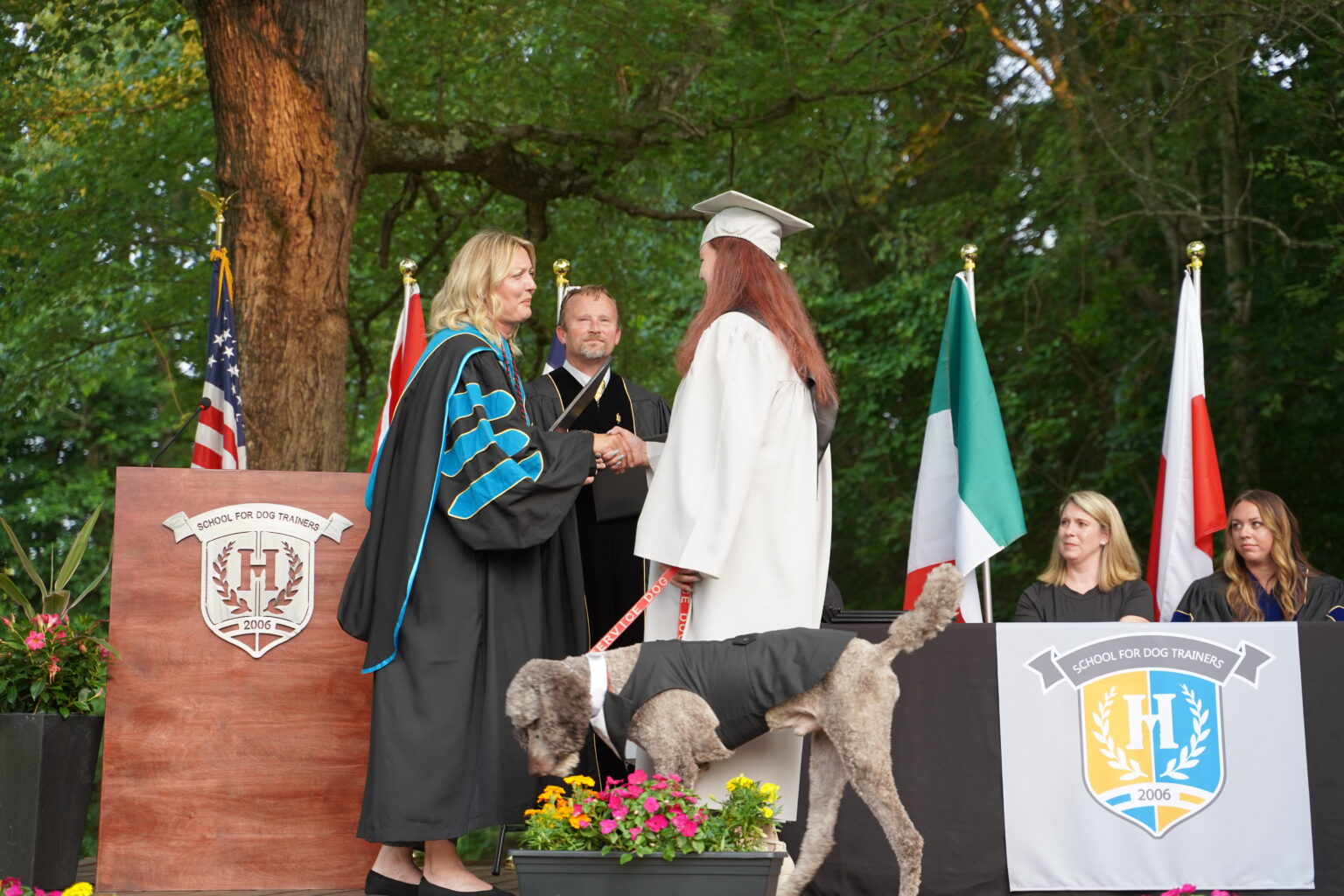School For Dog Trainers: 20 Years In Numbers
